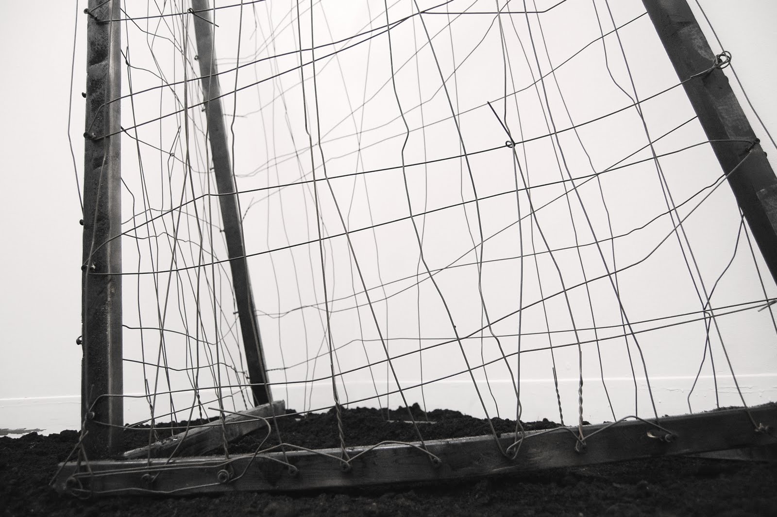 ART419 - Questioning the world around me!!