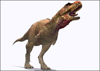 Dinosaur Head To Toe: Aucasaurus Hunt