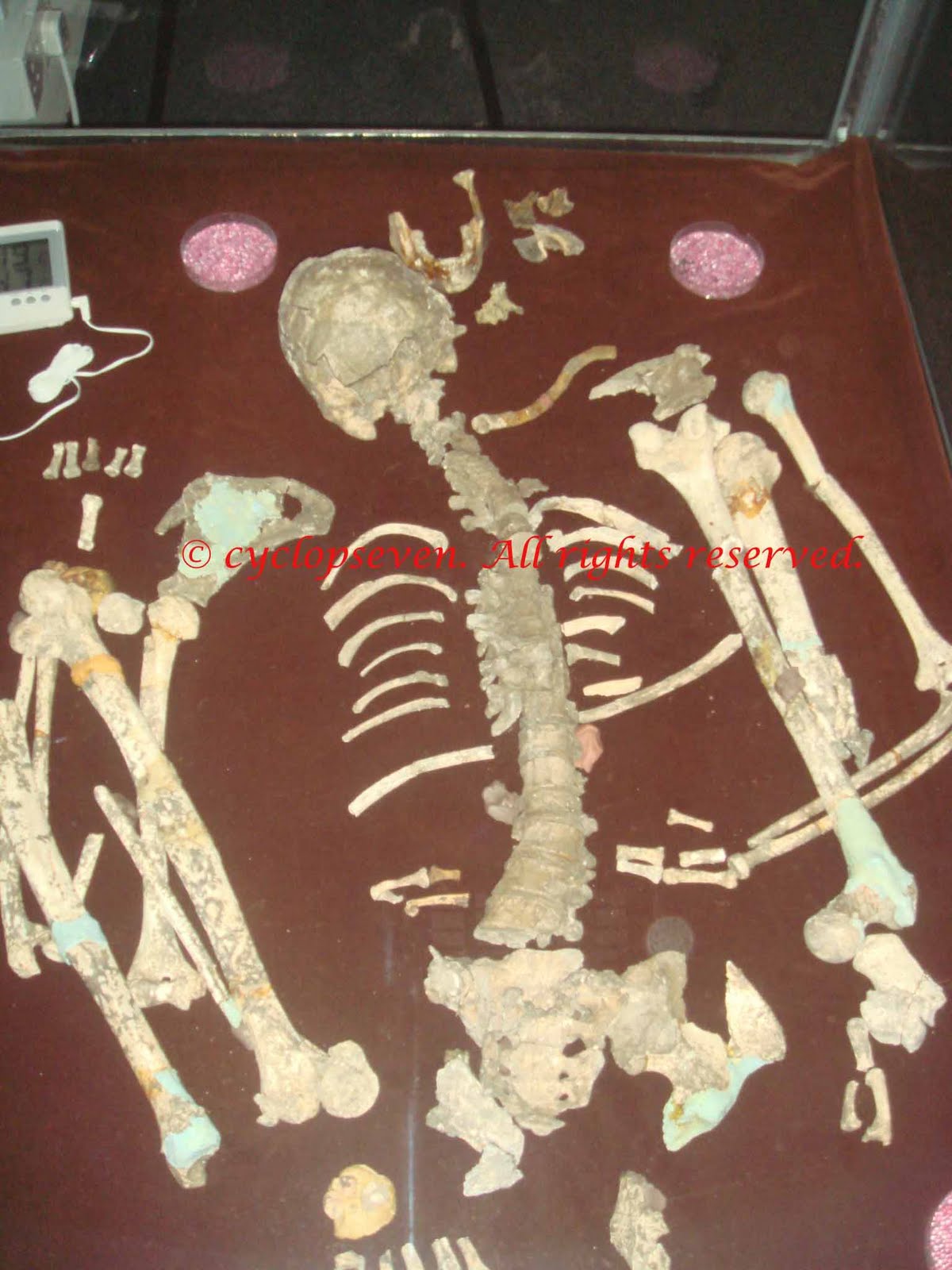 PLACES OF INTEREST: CAPTURE 6 :Lenggong Archeological Museum