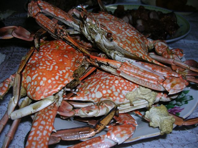 Fresh Seafood Market - Teluk Tempoyak, Penang (Part 2)