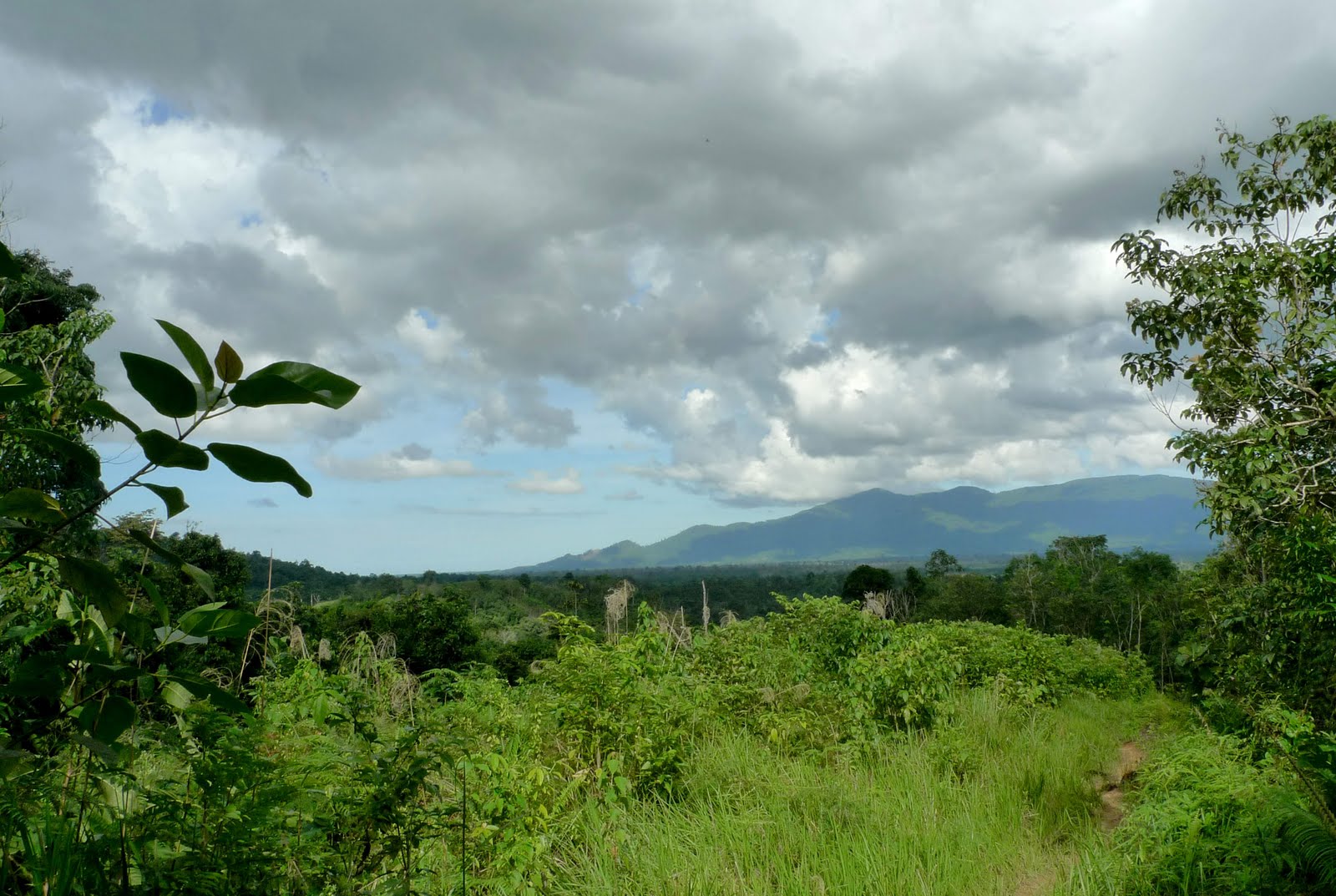 Kuching Hidden Gem - Jangkar Waterfall in Lundu