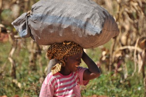 Angola Rising: The 'Science' of Carrying Loads on Your Head