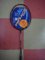 World of Sport: Pro Ace Badminton