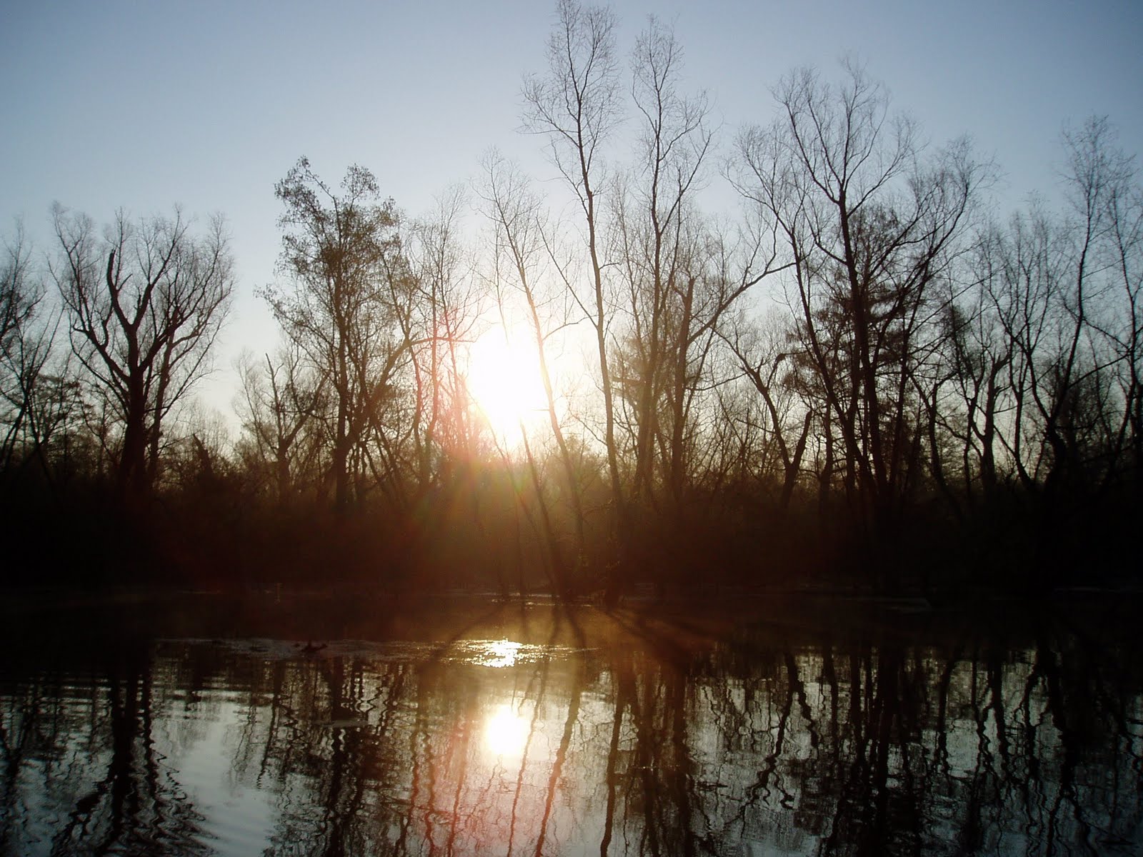 COURETS SWAMP TOURS OF LOUISIANA: SUNRISE ATCHAFALAYA BASIN