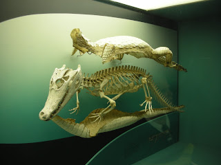 Miniature Sculptures In Super Sculpey: SKELETONS THAT WILL CHILL YOUR ...