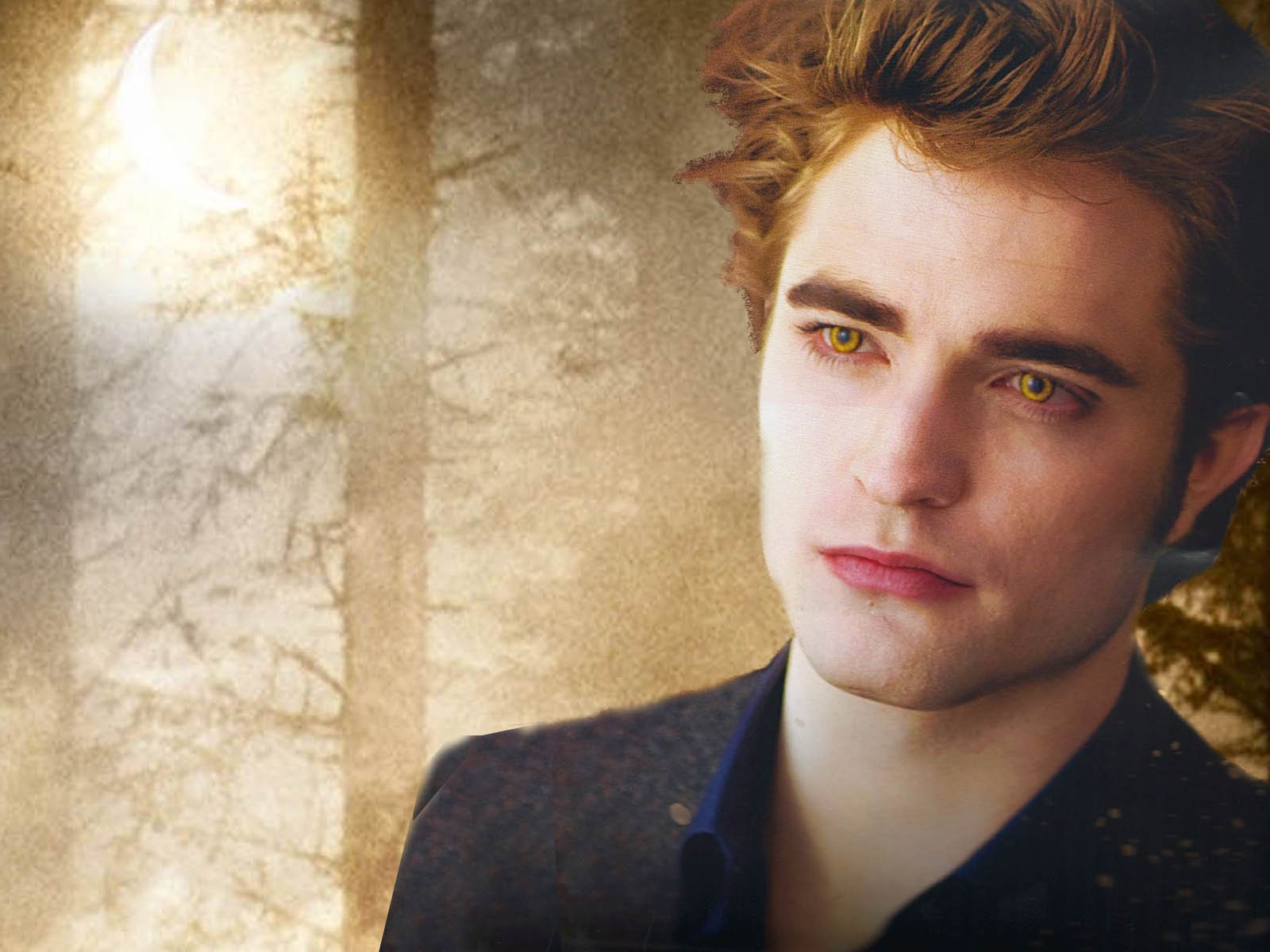 NÓS AMAMOS A SAGA CREPÚSCULO!!: EDWARD CULLEN GANHOU O PRÊMIO"TOP ...