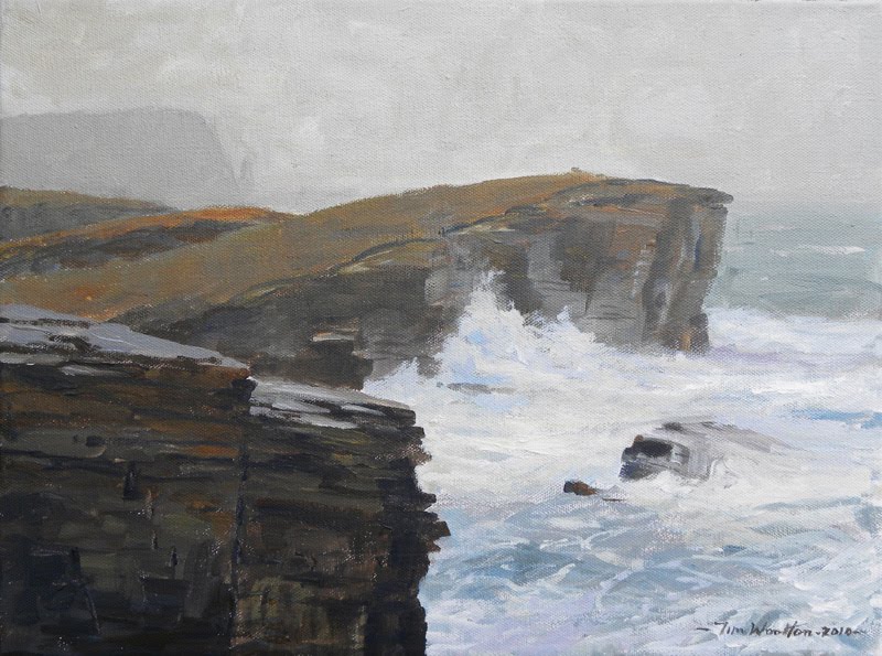 Tim Wootton Wildlife Art: July 2010