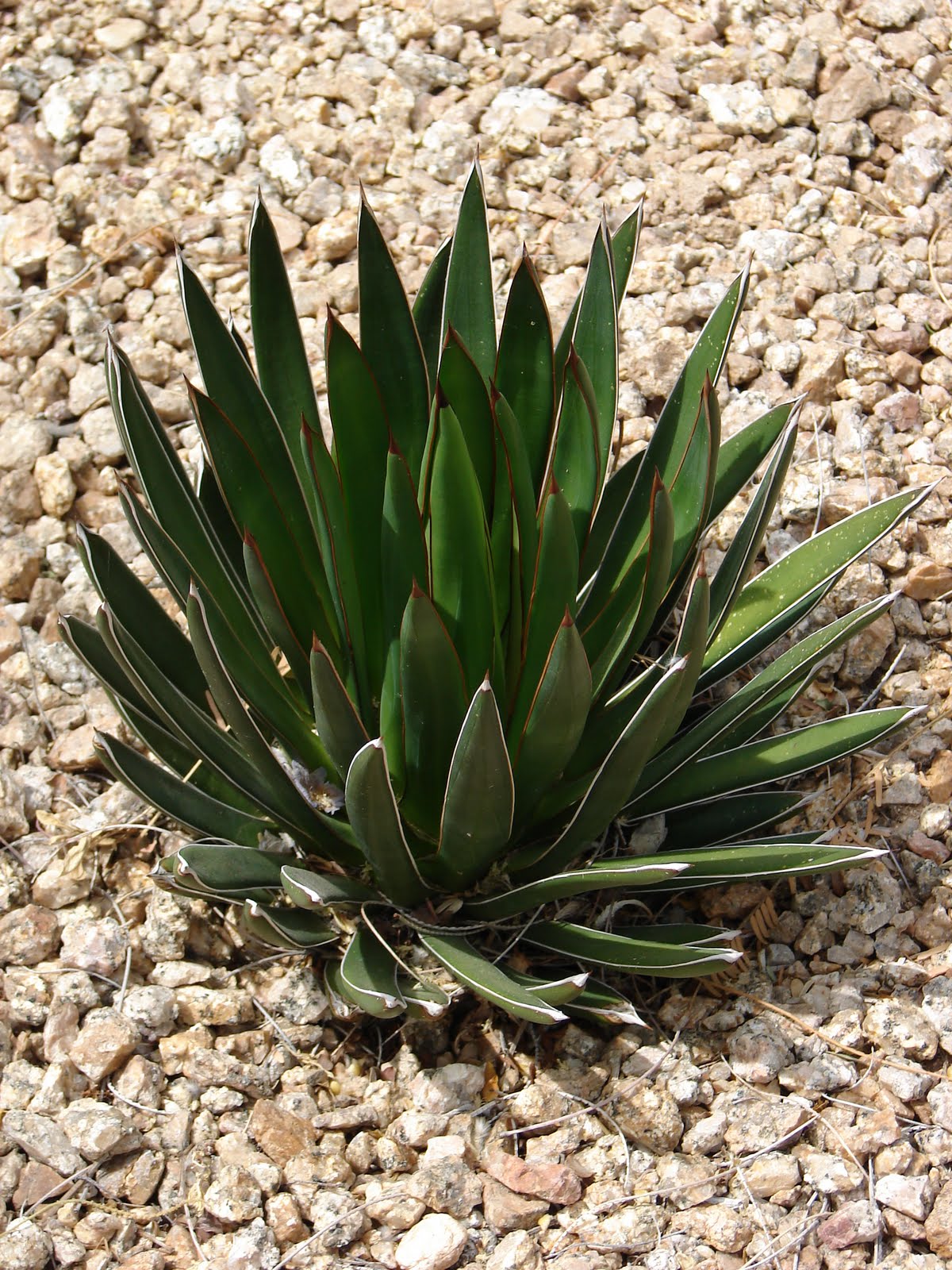 Water When Dry: May 2010