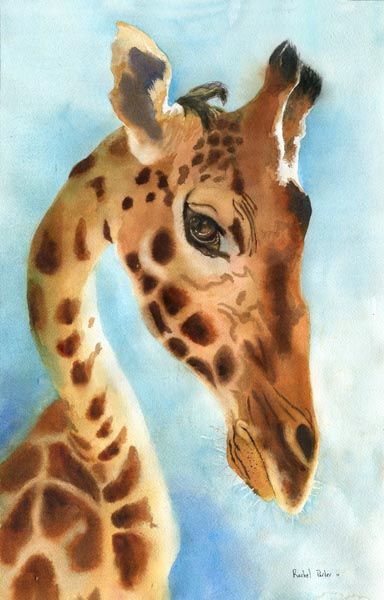 Rachel's Studio Blog: Giraffe Art