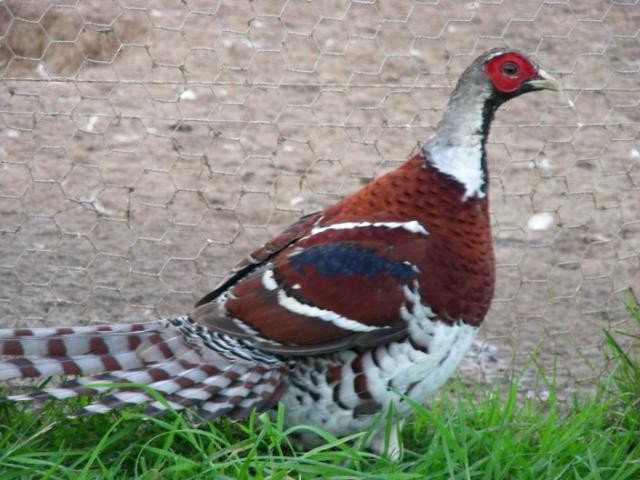 Pelancongan Terengganu: Taman Kuang Ajil