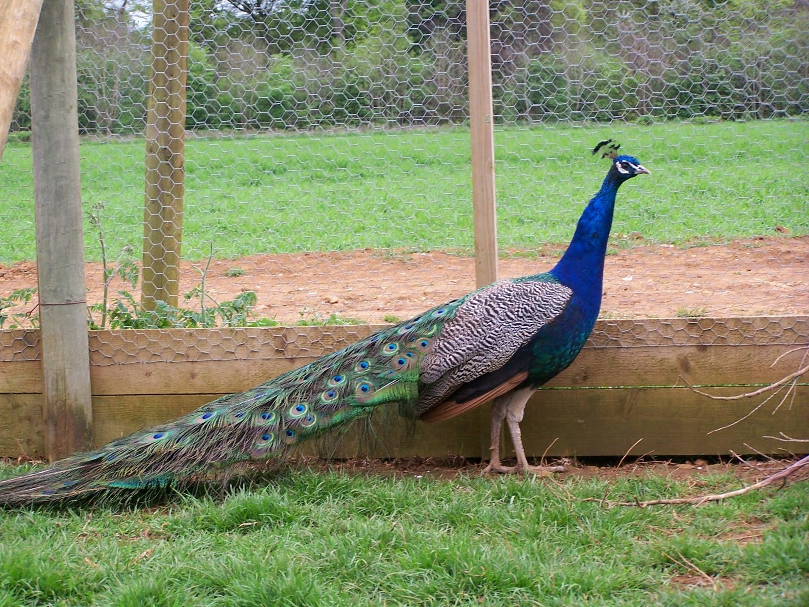 Pelancongan Terengganu: Taman Kuang Ajil