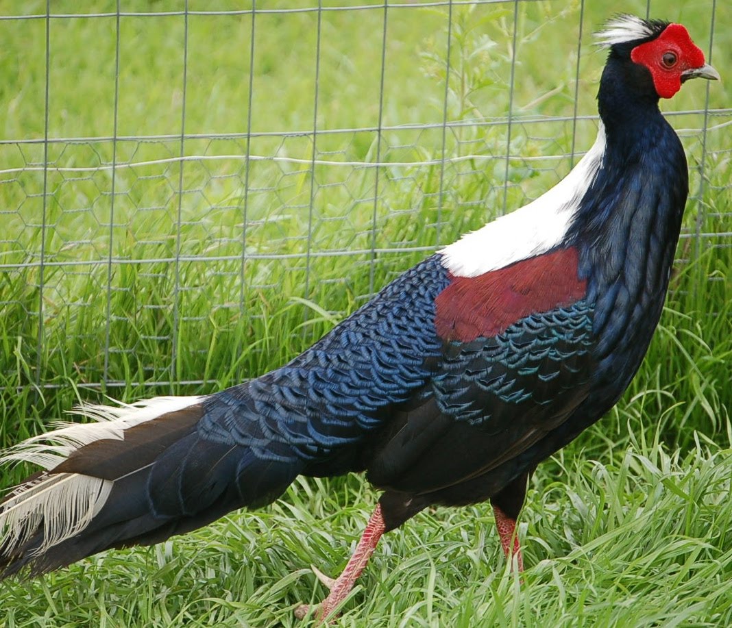 Pelancongan Terengganu: Taman Kuang Ajil