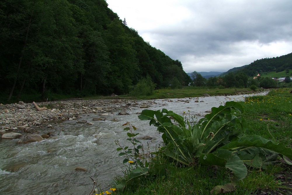 Naycool's adventure: Zona inferioara a vaii Lepsa