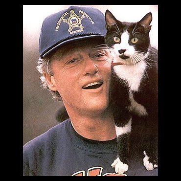 Socks The Cat | Sock Pictures Gallery