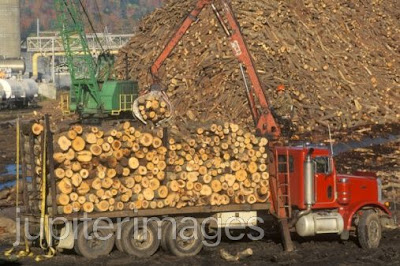 Tehachapi Pete: Rumford...