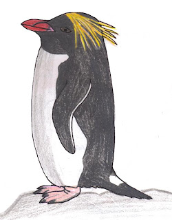 The Disillusioned Taxonomist: Macaroni & Royal Penguins