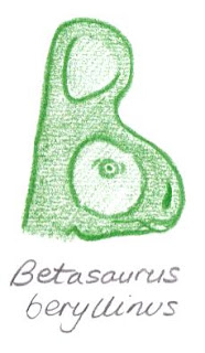 ART Evolved: Life's Time Capsule: Prehistoric Animal Alphabet