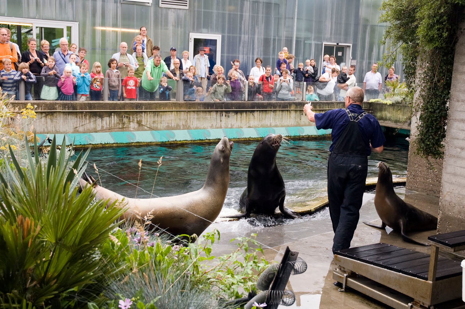 Herman's Corner: Amsterdam Zoo - Artis