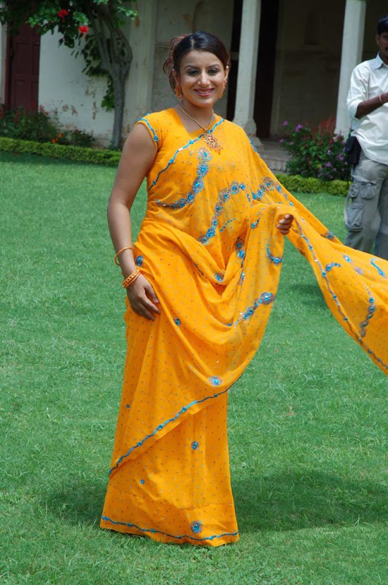 2in1 Celebrity Models: Pooja Gandhi Cute Saree Stills