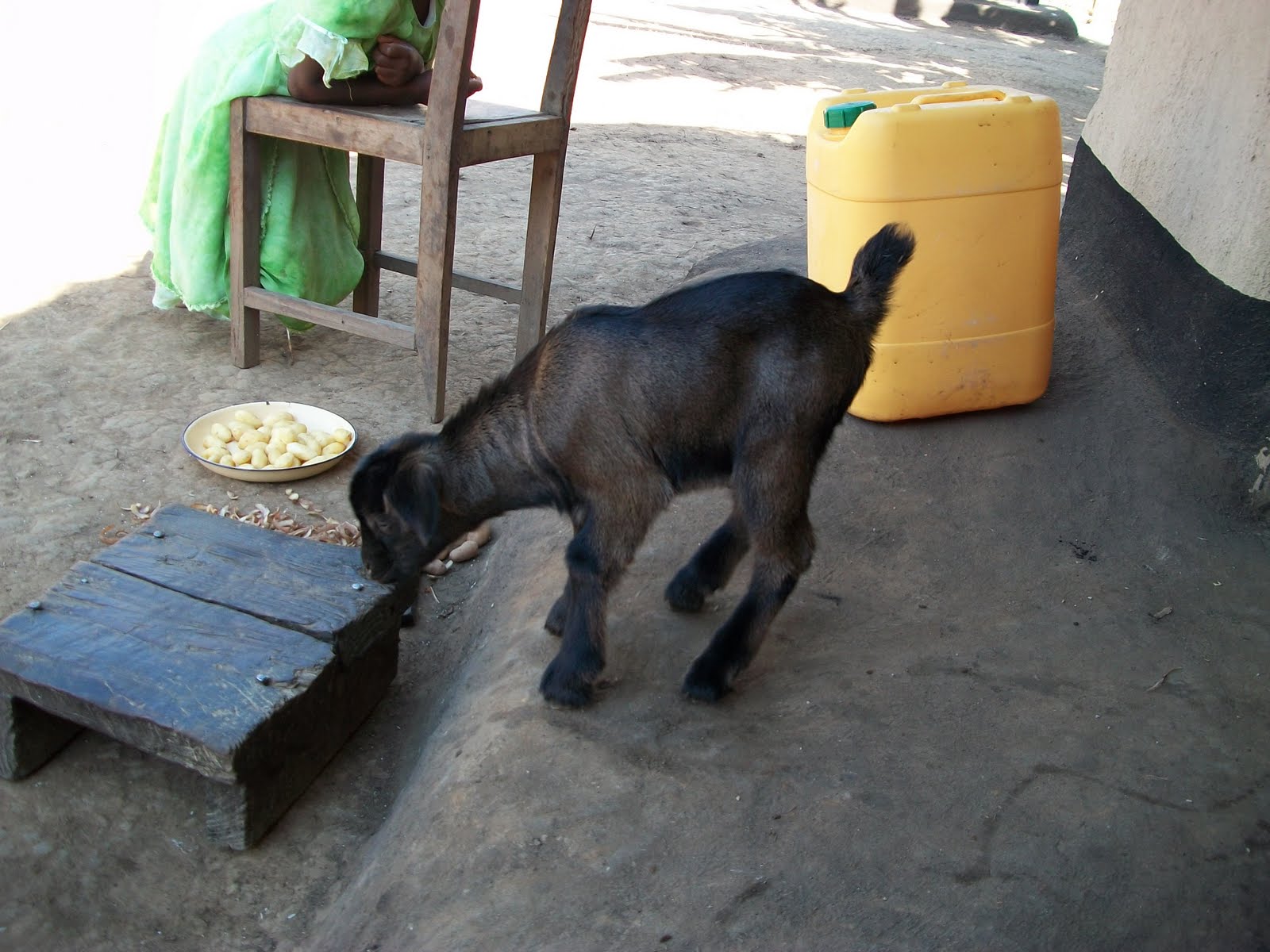 Erica in Malawi: Images of Malawi