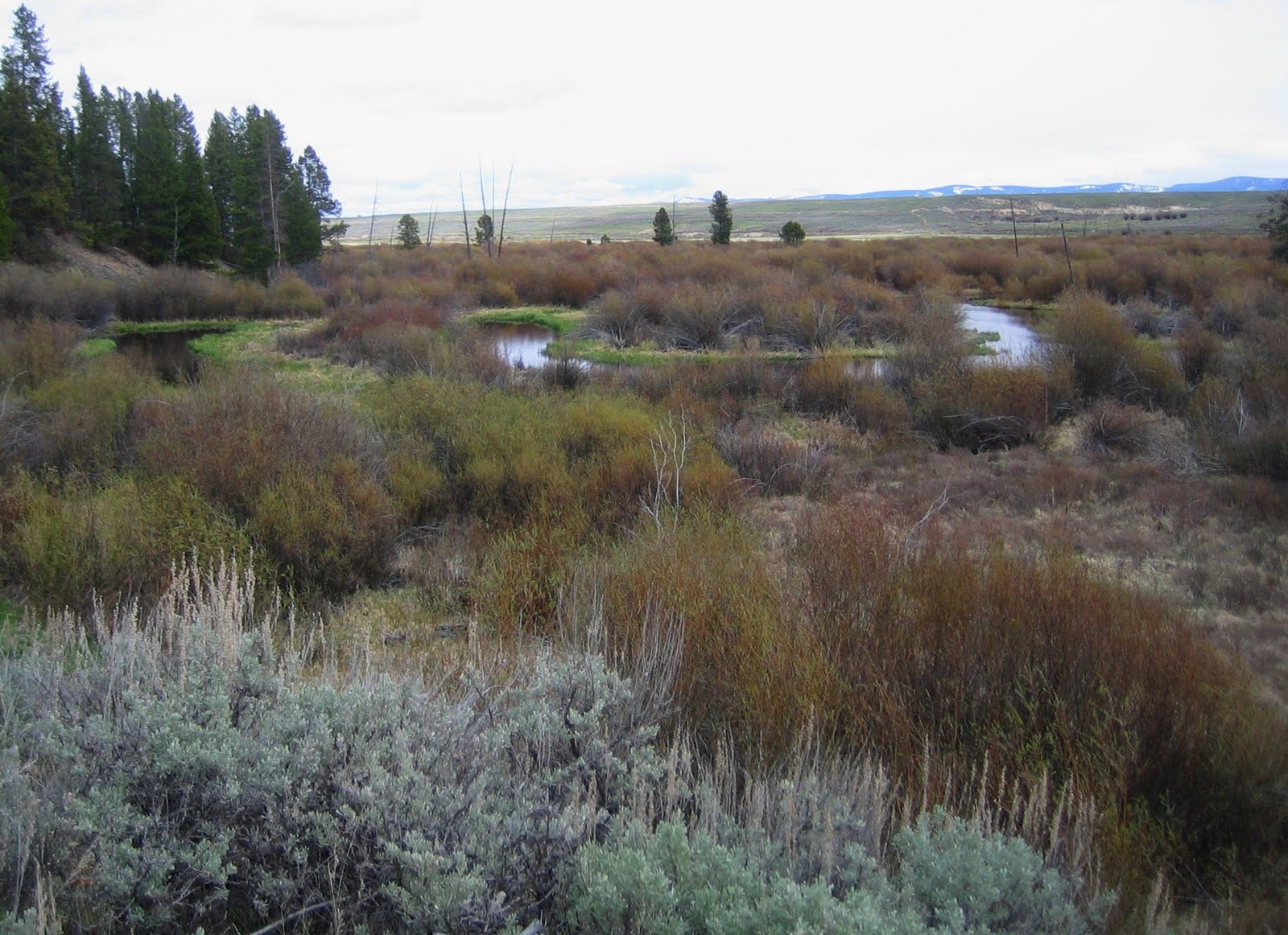 EcoRover: Memorial Day Weekend: Big Hole Battlefield, Hot Springs ...