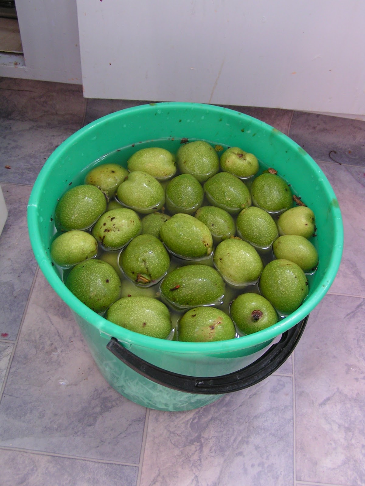 Curious Kai: Pickled Walnuts - The Beginning