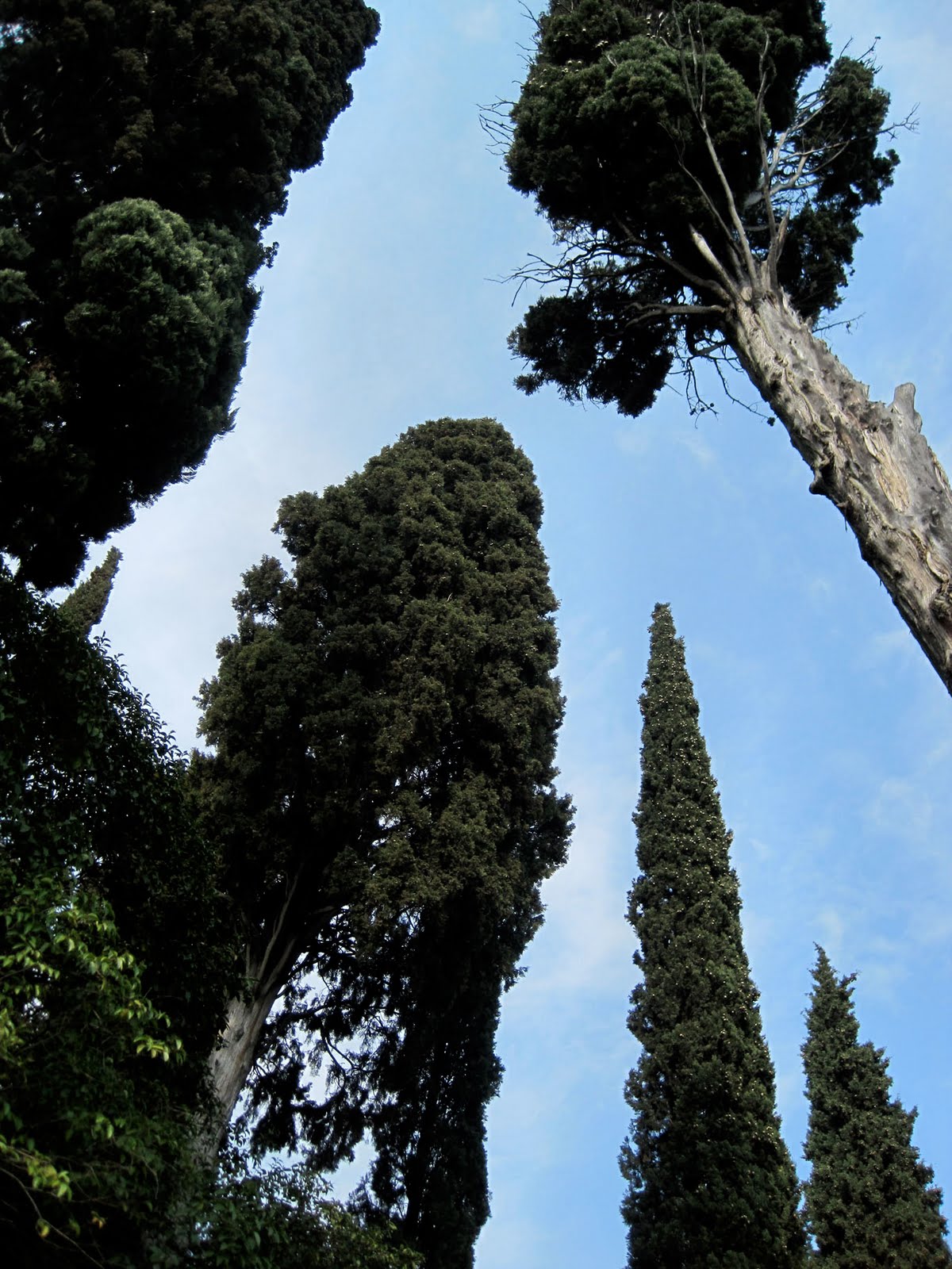 euro adventure 2010: April 2010