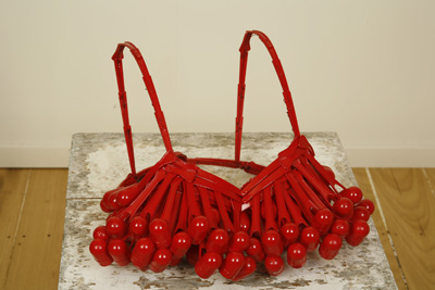 Free Advice from Breastmates: FW: World of Wearable Art (Bizarre Bra ...