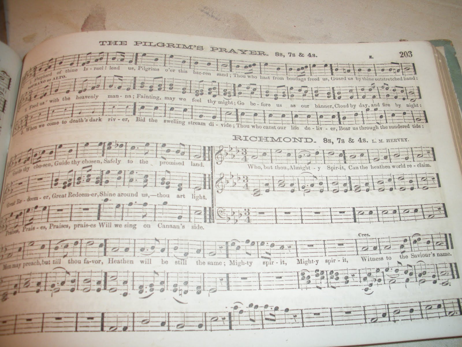 The Star Gal: Music from the 1800's