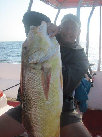 Archie (Magangane): RED STEENBRAS(Copper Steenbras)-petrus rupestris