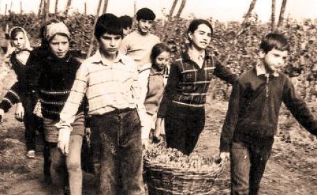 STIRI din INVATAMANT si PRESA din ARGES si MUNTENIA: Elevii ar putea ...