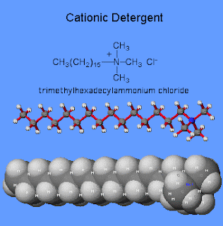 Chemistry in My Daily Life: How does soap and detergents work???