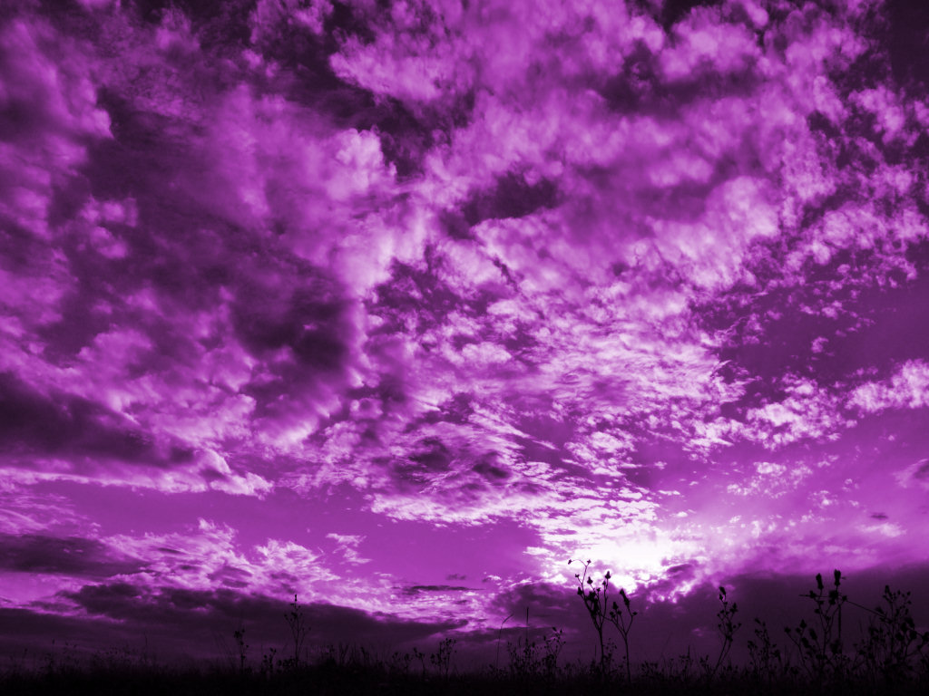 Me, the Visionary Enlightened Soul: Purple Sky