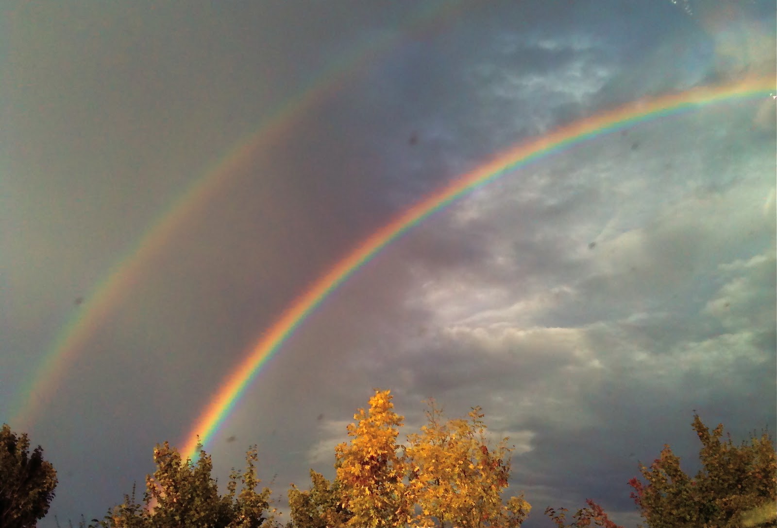 99 Dreams and Wishes - 999 Days: Full Moon, Double Rainbow and a Goodbye