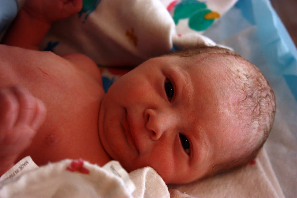 The Domestic Wannabe: 5 weeks old