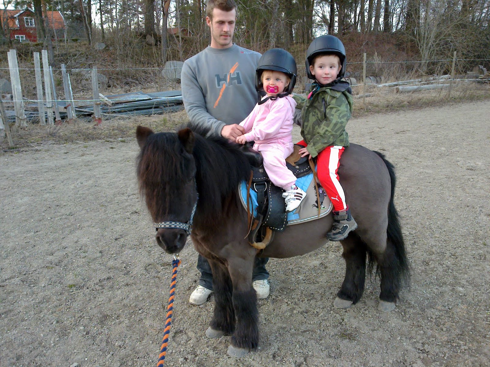 Kennel Trönderjycken: Nu har vi äntligen hittat rätt shettis!!!
