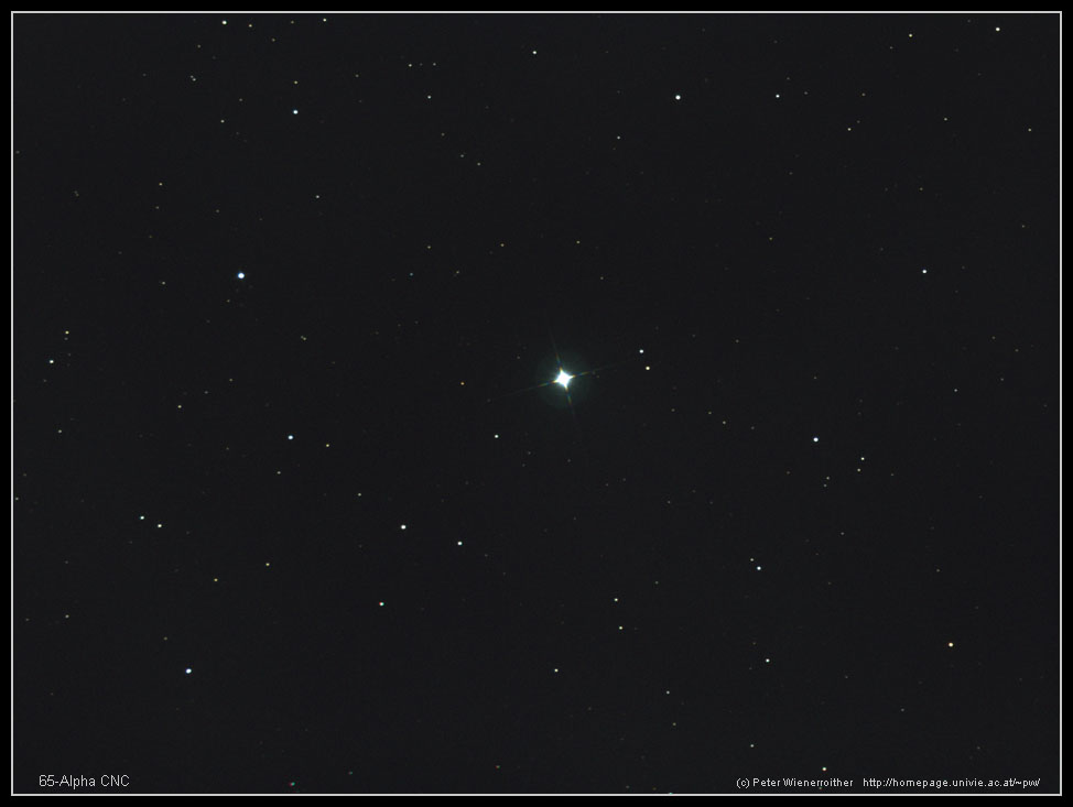 Comer, Beber, Amar: LA CONSTELACION DE CANCER