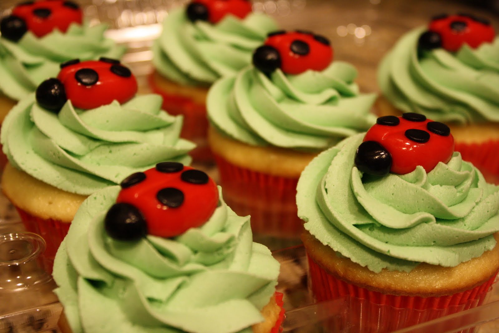 sassy sweets: Ladybugs!