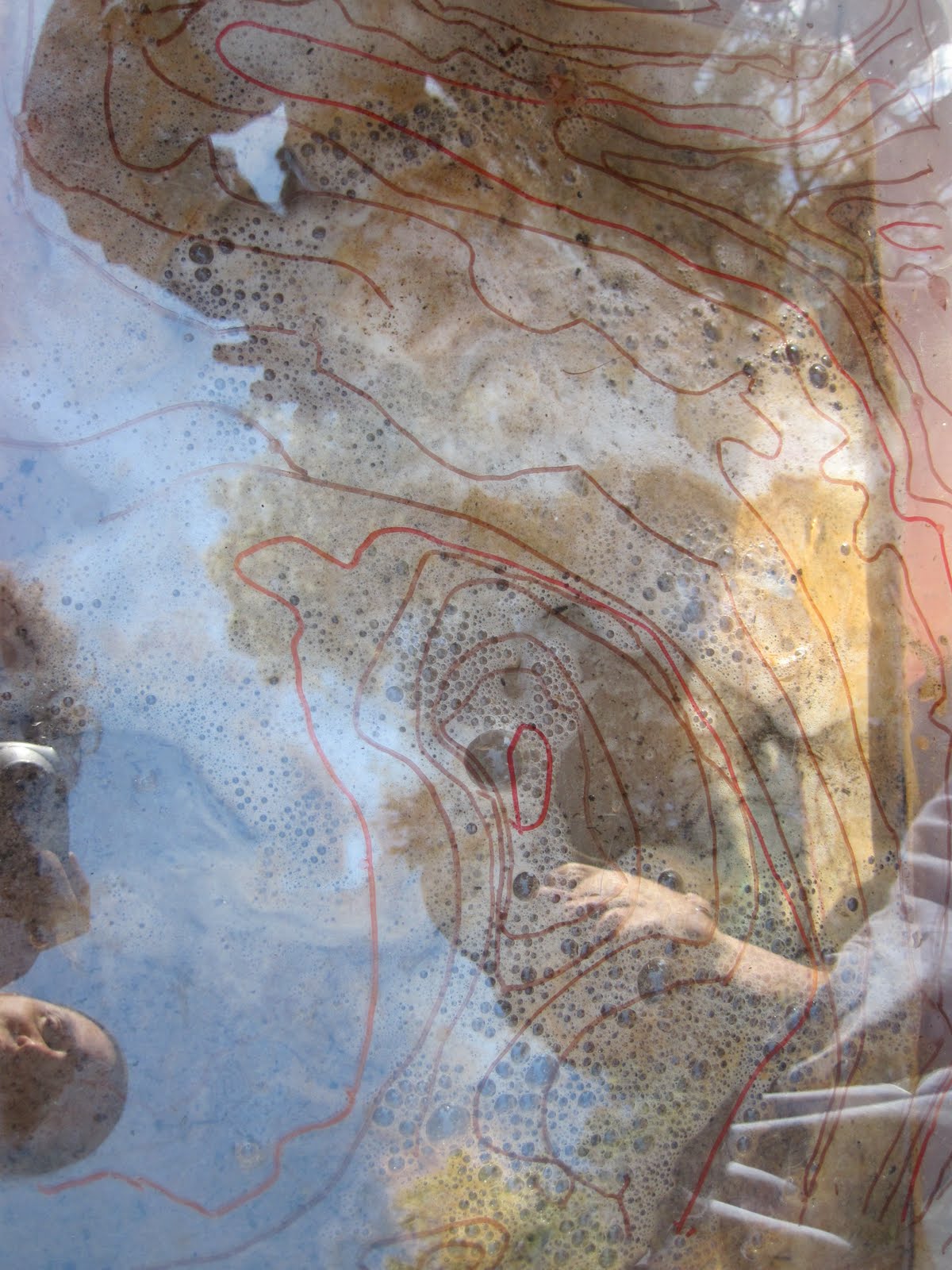 tadpoles, trails and trees: Topographic Maps