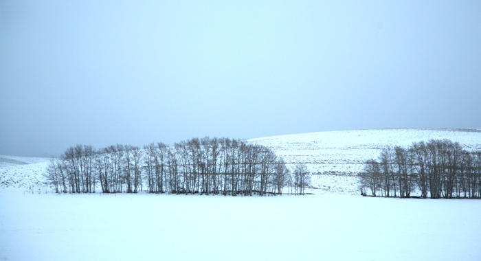 Montana Rivers & Valleys