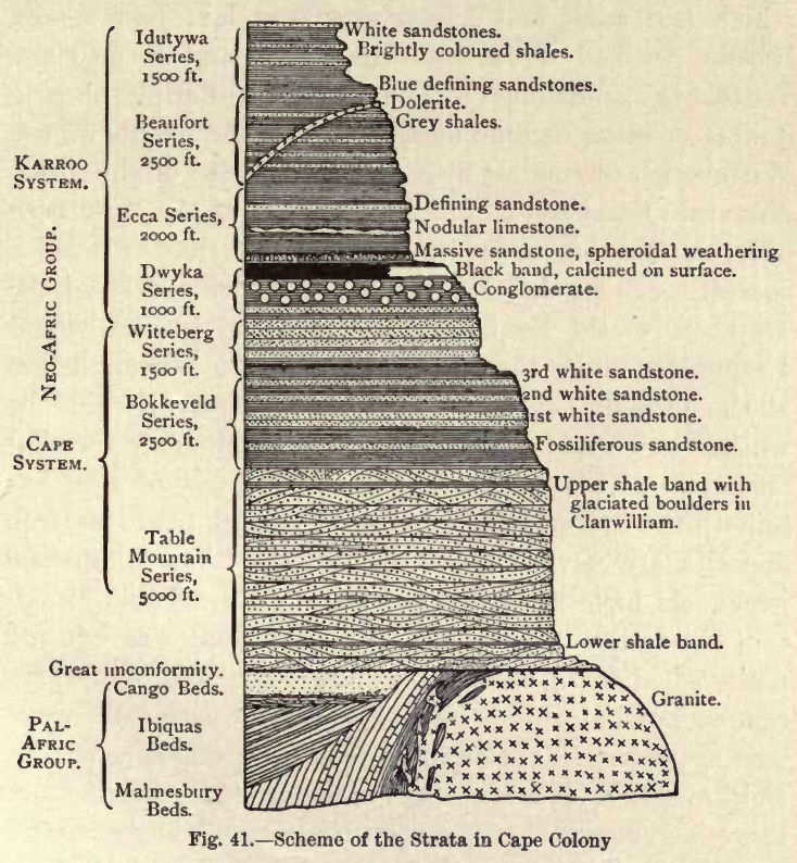 History of Geology: History of Paleomammology: Ex Africa Semper Aliquid ...