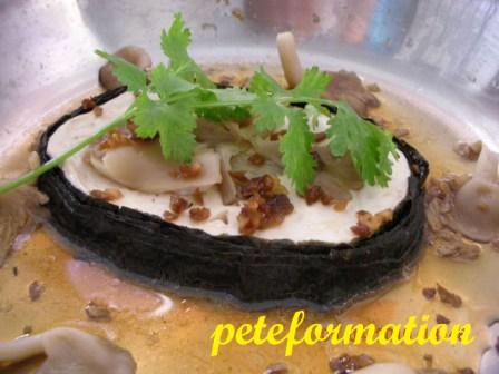 Veganformation Vegetarian Food Cooking Adventure: The Making of Mock ...