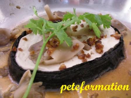 Veganformation Vegetarian Food Cooking Adventure: The Making of Mock ...