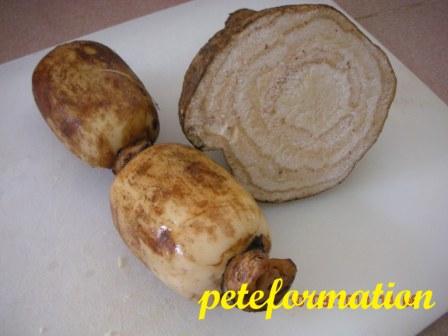 PeteFormation Foodie Adventure: Fun Kok (Arrowroots) with Leng Ngau ...