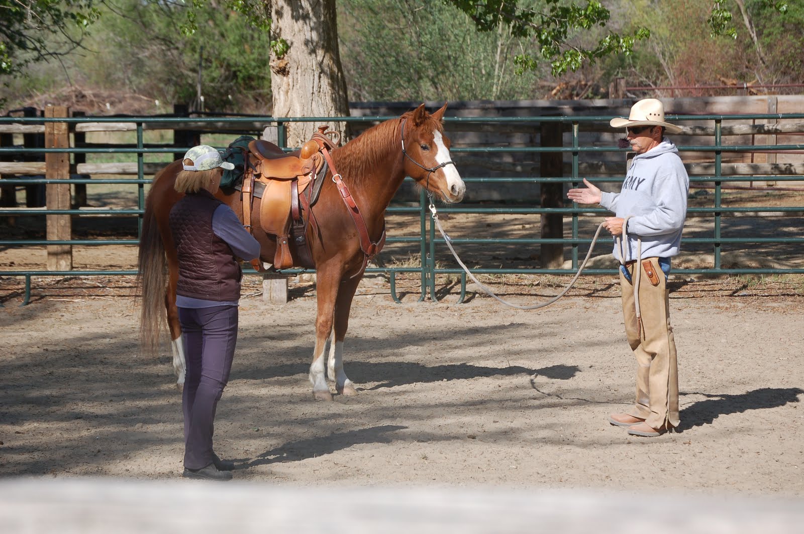 Marks Rašids – ko varam mācīties no zirga? | Zirgam.lv