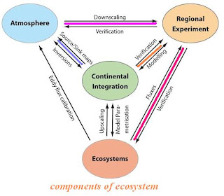 physics dictionary: components of ecosystem