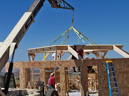 Solargon Homes: Solargon Roof Assembly