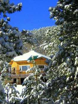 Solargon Homes: Off Grid Solargon