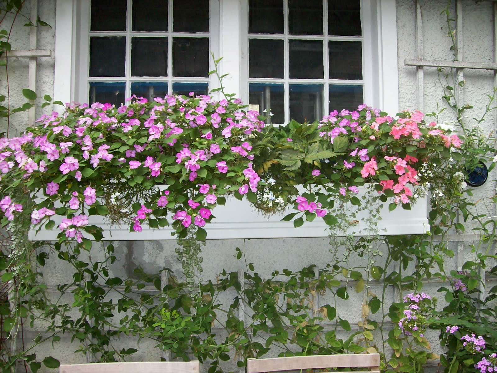Pin by Judith on Flower Containers | Window box flowers, Flower window ...