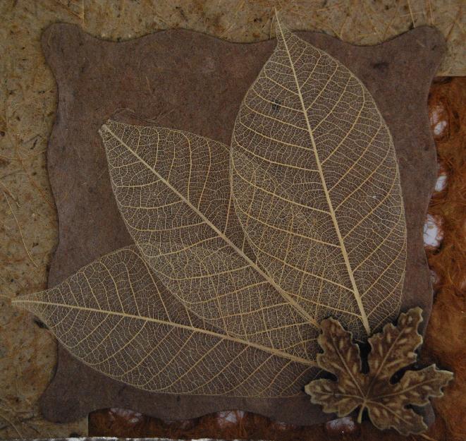 Naturally Me Creations: Natural Textured Card